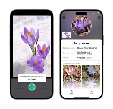 The Ultimate Mobile App Onboarding Guide (2026) | VWO