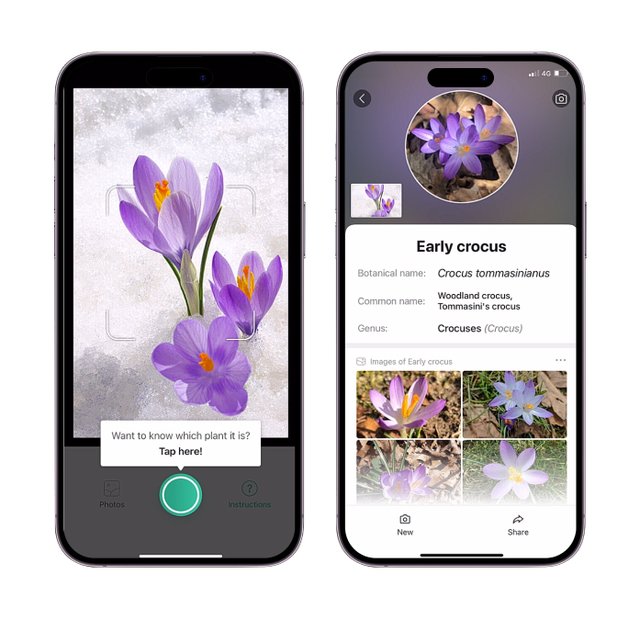 The Ultimate Mobile App Onboarding Guide (2025) | VWO